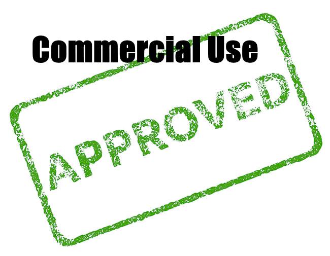 Sim Commander Commercial Use | SimXperience® Full Motion Racing ...